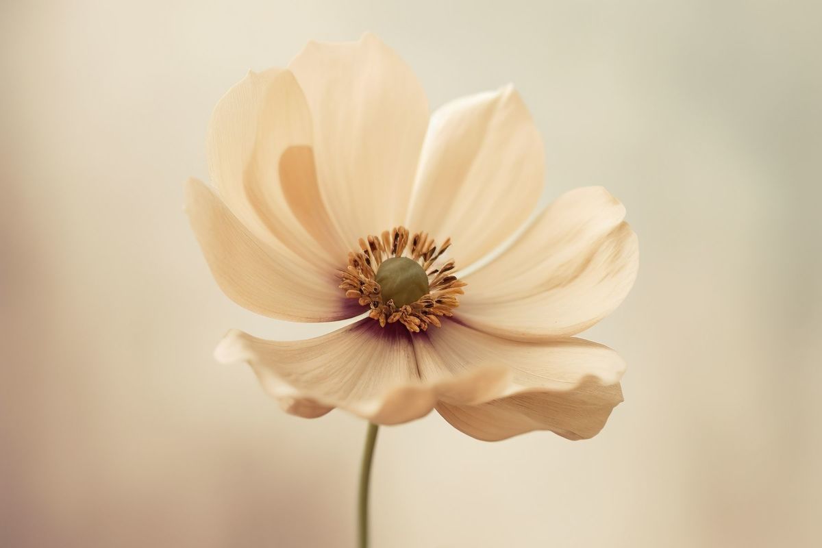 About | Enhancing Beauty and Confidence in Johnston, RI